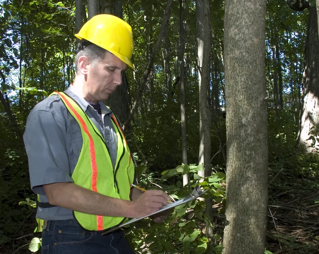 How to Choose the Best Land Clearing and Forestry Attachments | Limb Beaver